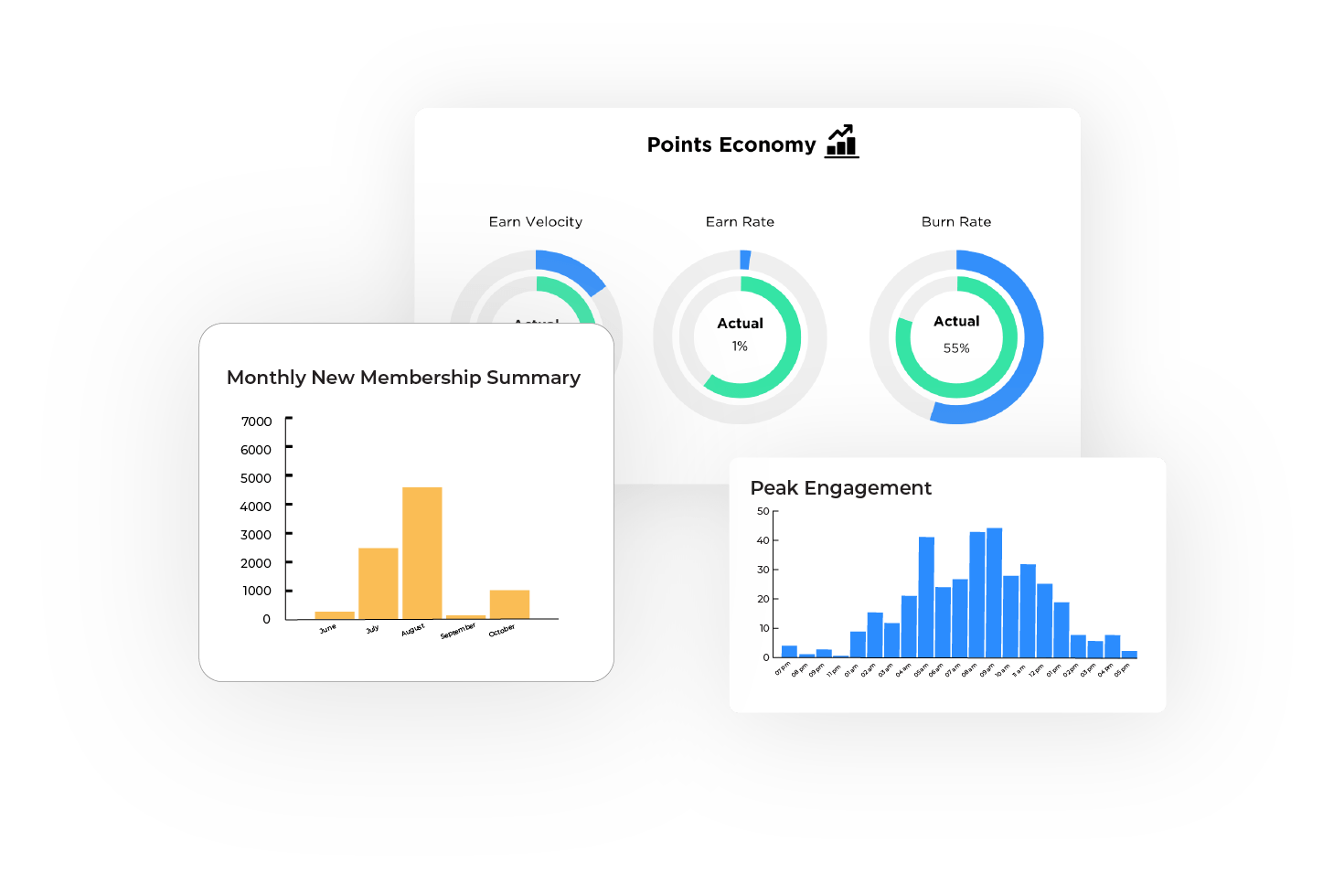 Loyalty Reporting Dashboards | Loyalty Program Analytics | Brandmovers